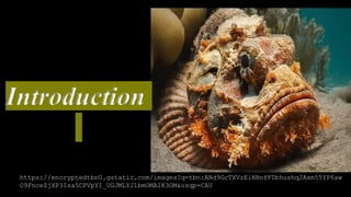 Introduction to Stone Fish and its meristic characters | PPTX