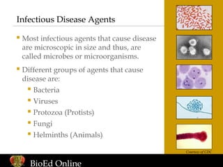 4BSAhbsjKAINFECTIOUS DISEASEHHSAJDLMKL3.ppt