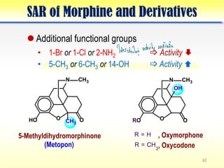 Structure-Activity Relationships of Morphine and Synthetic Opioid ...