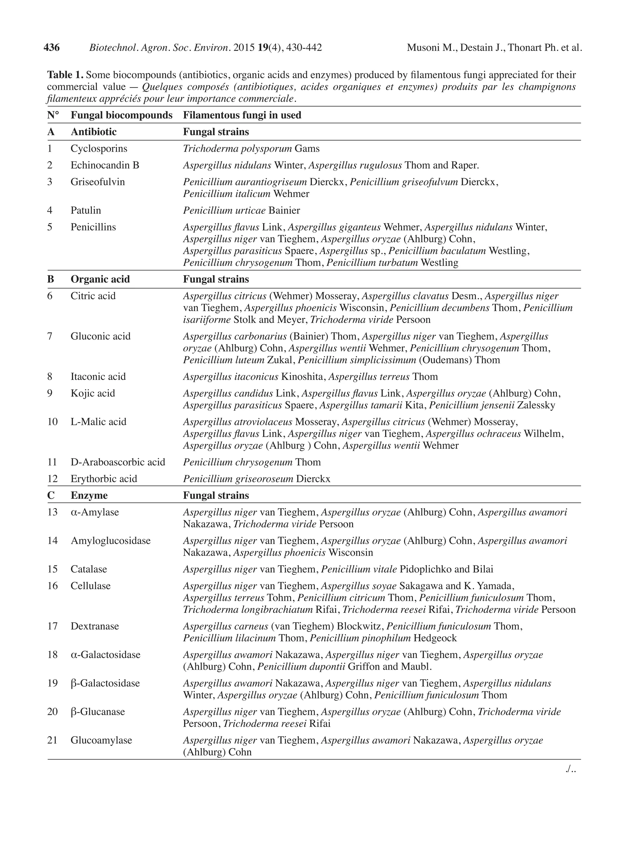 Bioreactor design and implementation strategies for the cultivation of filamentous fungi and the ...