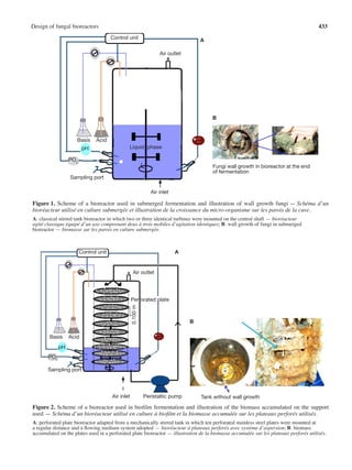 Bioreactor design and implementation strategies for the cultivation of ...