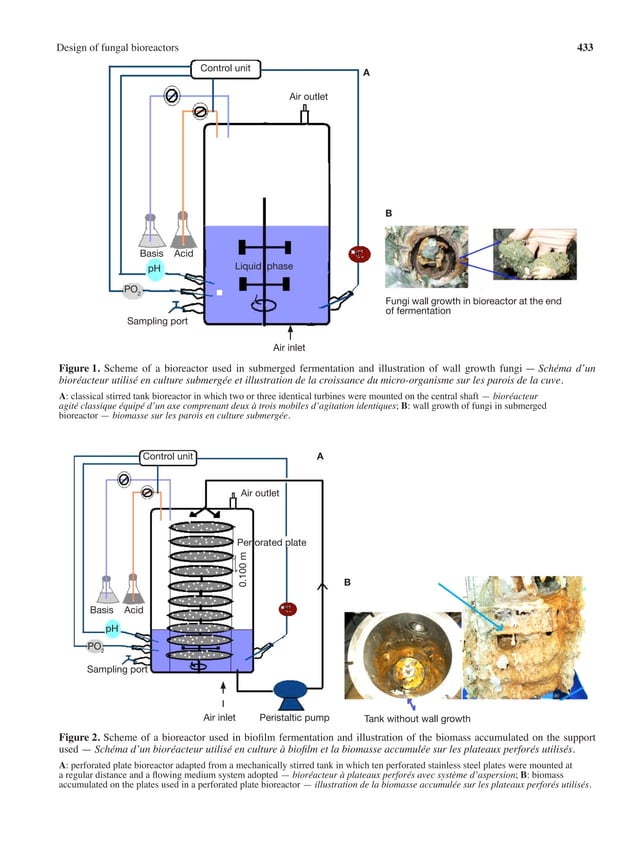 Bioreactor design and implementation strategies for the cultivation of filamentous fungi and the ...