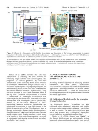 Bioreactor design and implementation strategies for the cultivation of filamentous fungi and the ...