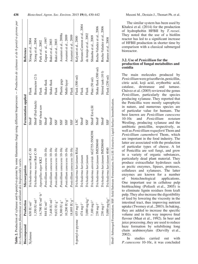 Bioreactor design and implementation strategies for the cultivation of filamentous fungi and the ...