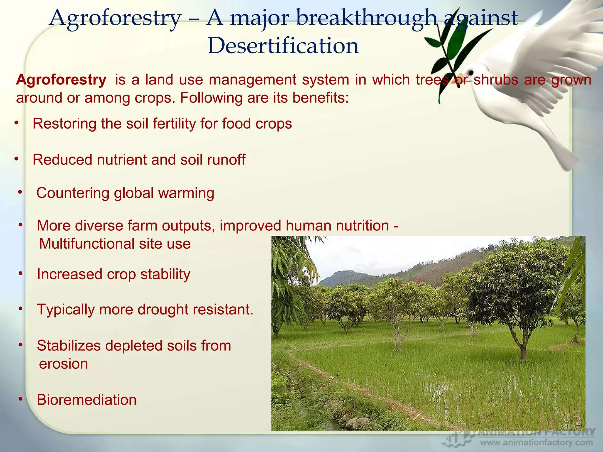 World Day to Combat Desertification and Drought | PPT