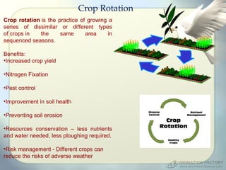 World Day to Combat Desertification and Drought | PPT