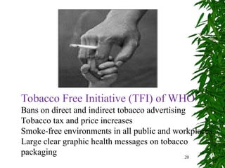 adverse effects of tobacco on health.ppt