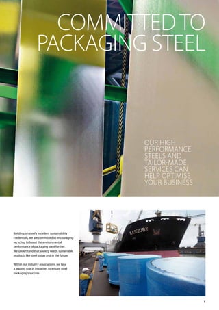 2011 TATA PACKAGING brochure def | PDF