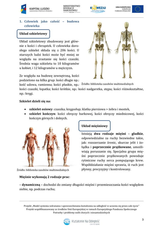 Podstawy anatomii i fizjologii człowieka | PDF | Bone and Joint Conditions | Diseases and Conditions