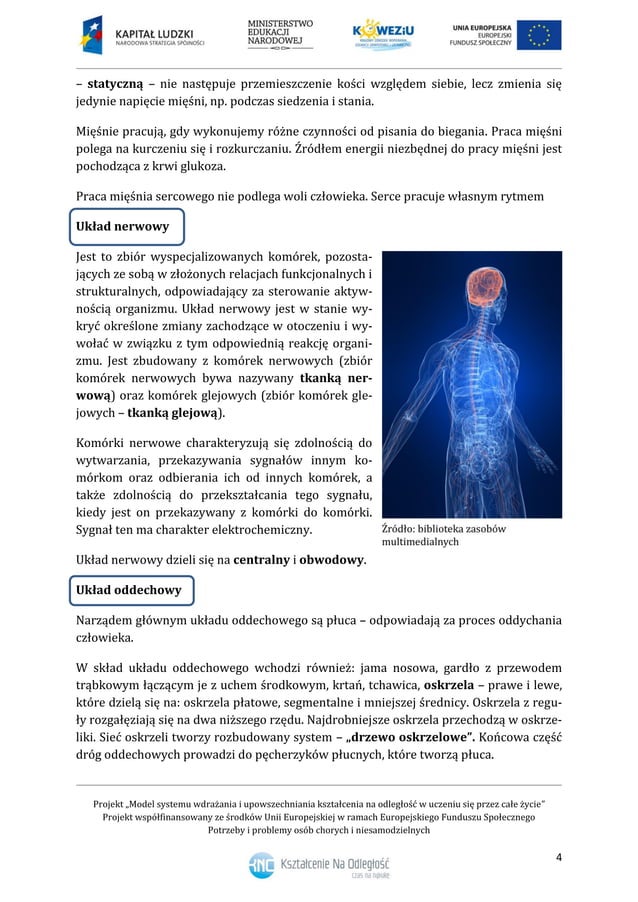 Podstawy anatomii i fizjologii człowieka | PDF | Bone and Joint Conditions | Diseases and Conditions