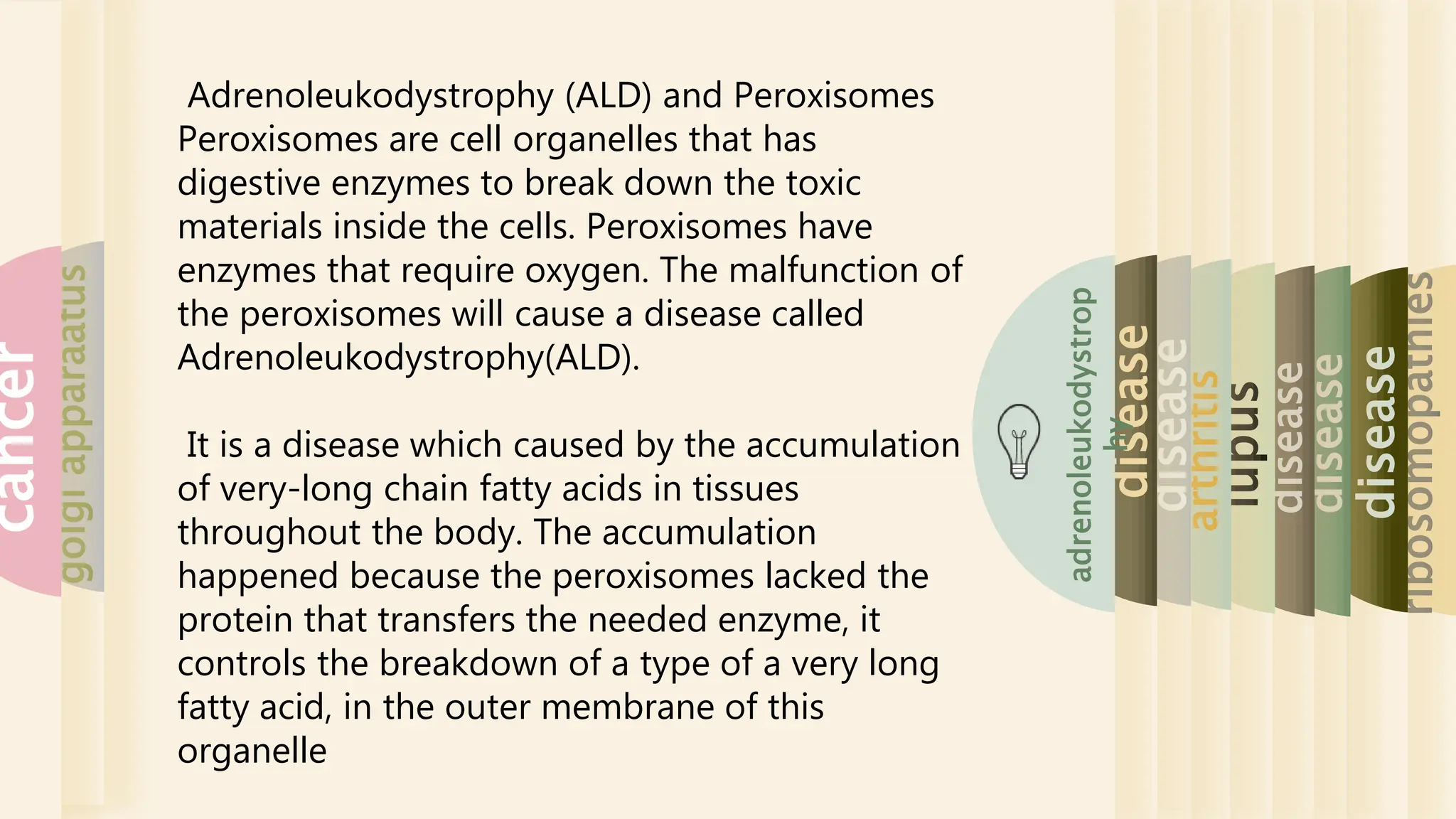 431153914-Disorders-and-Diseases-that-Results-from-Malfunction-of-The ...
