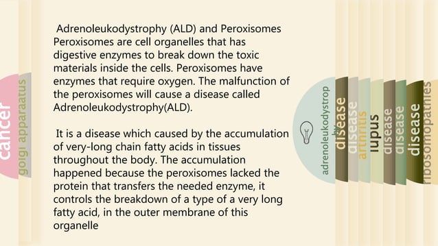 431153914-Disorders-and-Diseases-that-Results-from-Malfunction-of-The ...