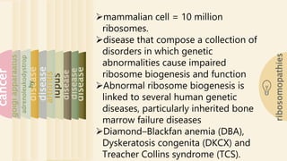 431153914-Disorders-and-Diseases-that-Results-from-Malfunction-of-The ...