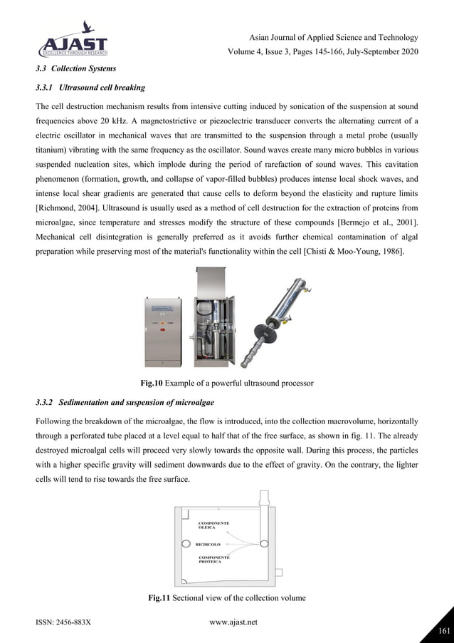 Innovative Plant for the Production of Microalgaes | PDF