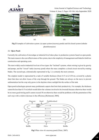 Innovative Plant for the Production of Microalgaes | PDF