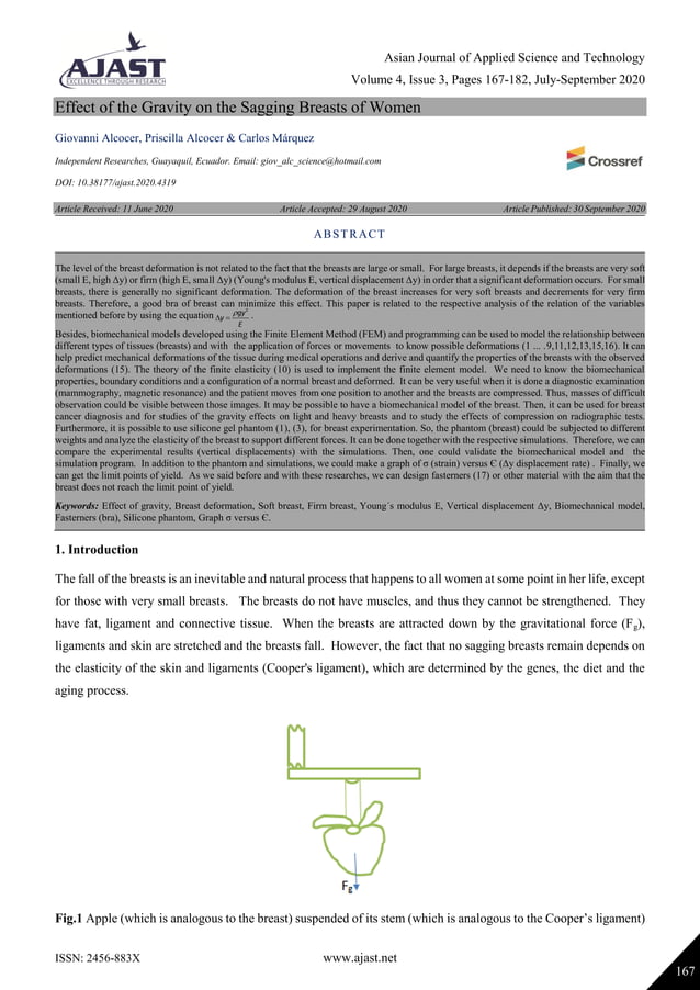 Effect of the Gravity on the Sagging Breasts of Women | PDF