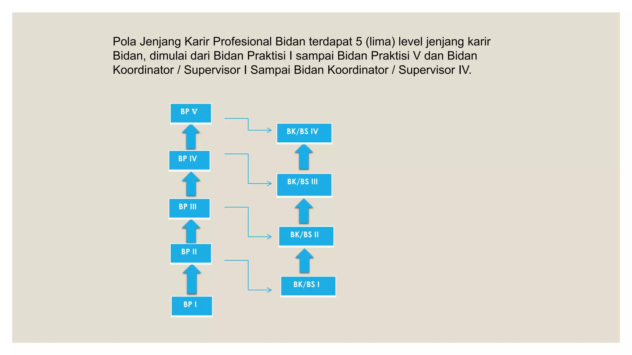 Jenjang Karir Bidan | PDF