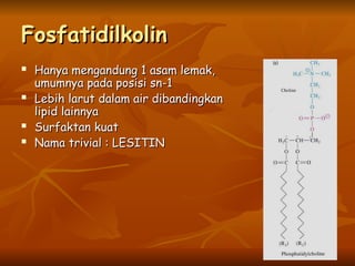 431295365-lipid-ppt 431295365-lipid-ppt.ppt