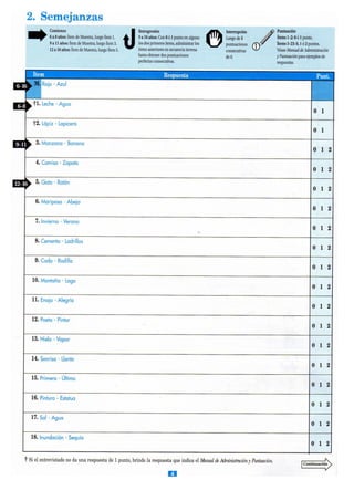 431858126-Wisc-IV-protocolo-de-registro.pdf