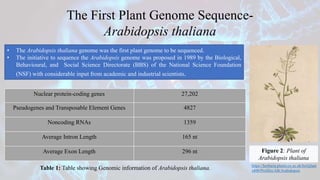 431 Bioinformatics approaches and its application in plant science.pptx