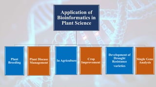 431 Bioinformatics approaches and its application in plant science.pptx