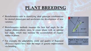 431 Bioinformatics approaches and its application in plant science.pptx