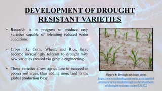 431 Bioinformatics approaches and its application in plant science.pptx