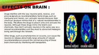 Investigatory-Project-on-Drug-Addiction-Final.pptx
