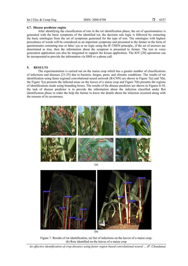 An effective identification of crop diseases using faster region based convolutional neural ...