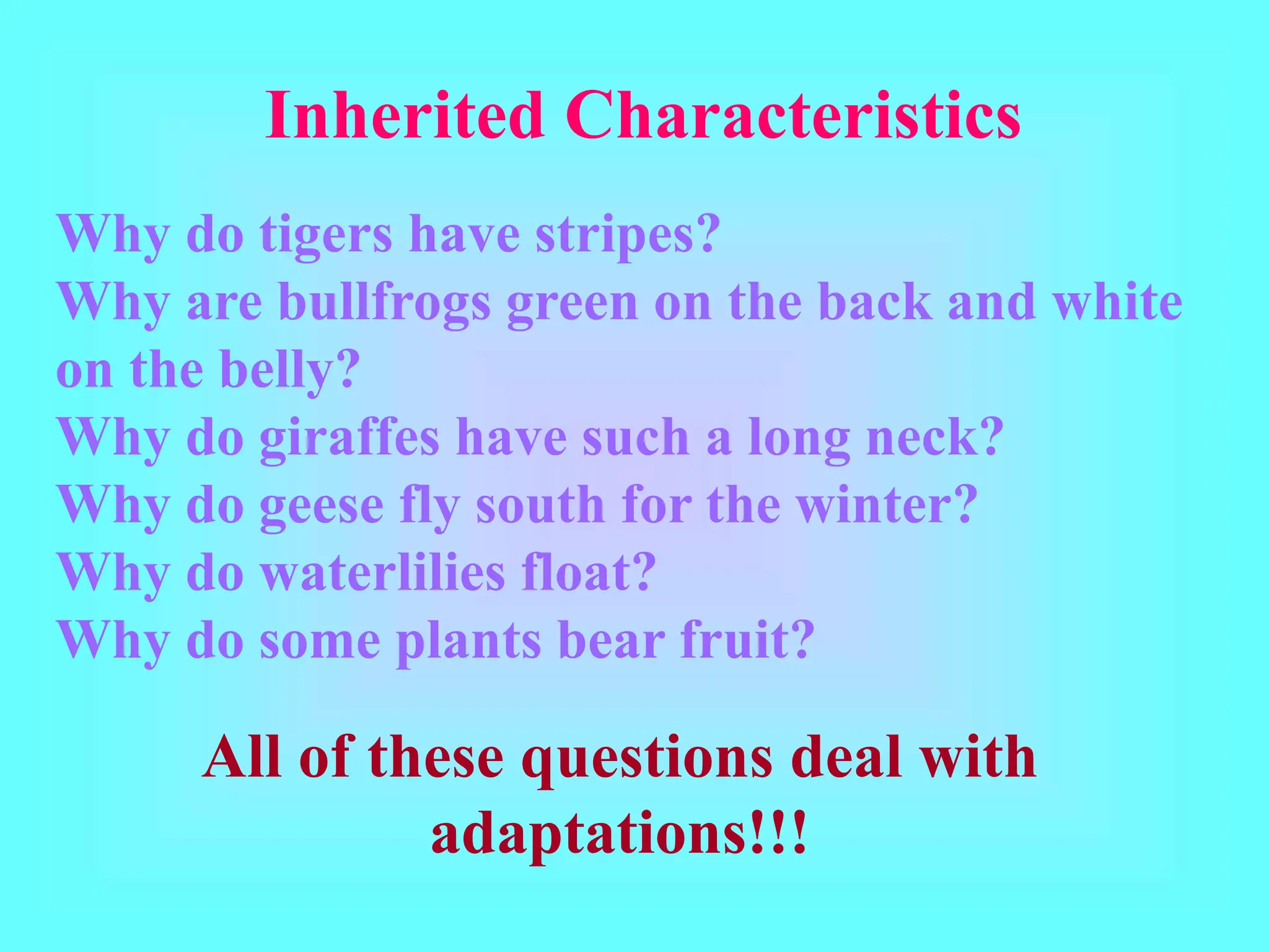 adaptation - characteristics of life. types of adaptation | PPT