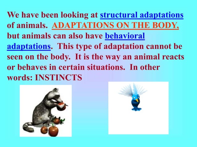 adaptation - characteristics of life. types of adaptation | PPT