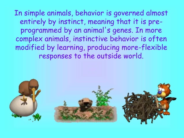 adaptation - characteristics of life. types of adaptation | PPT