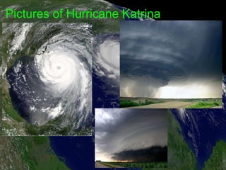 Hurricane Katrina | PPT