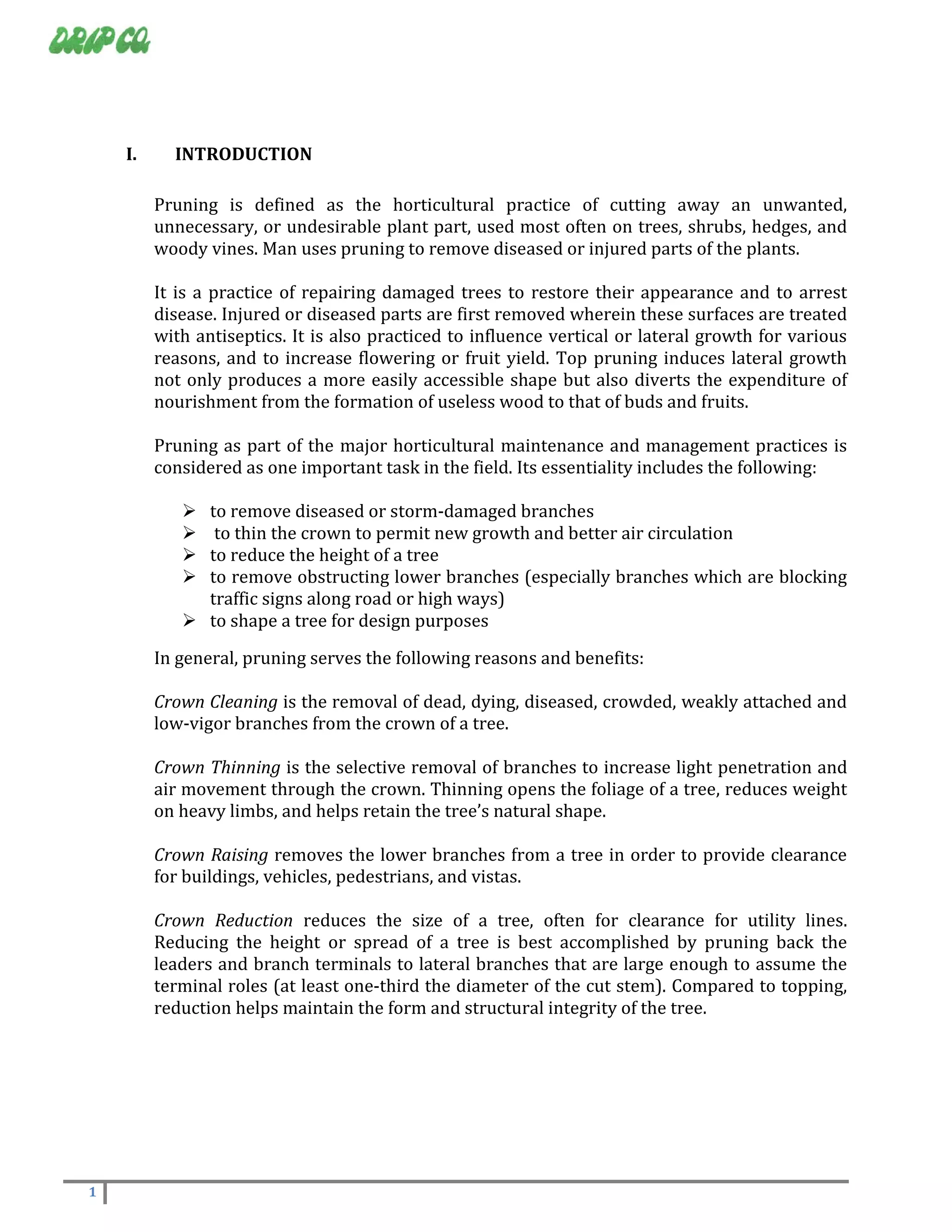 METHODOLOGY OF PRUNING | PDF