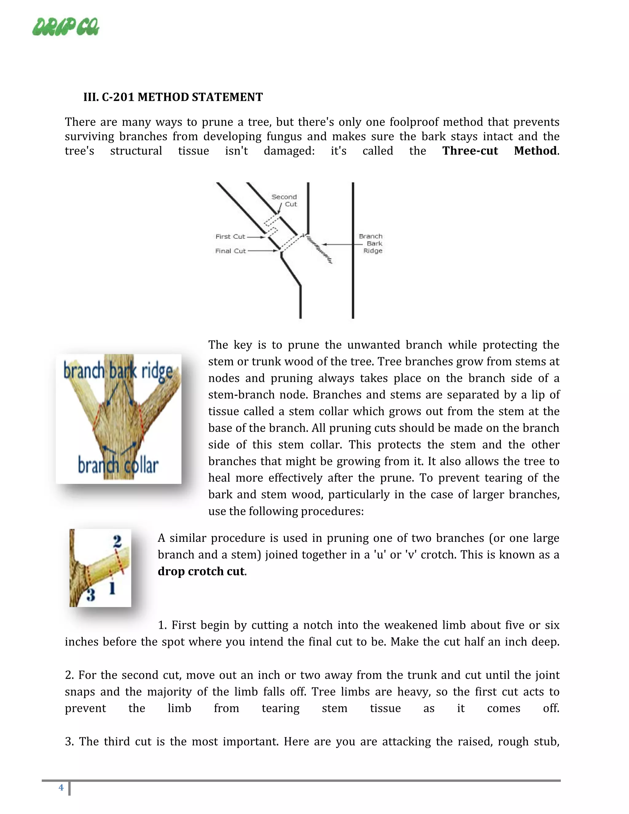 METHODOLOGY OF PRUNING | PDF