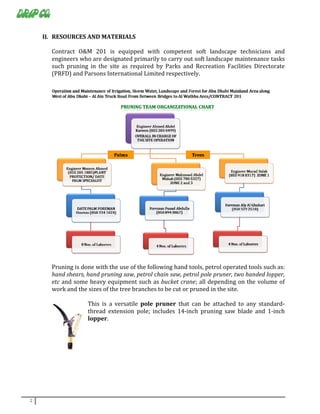 METHODOLOGY OF PRUNING | PDF