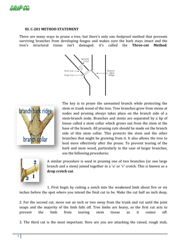 METHODOLOGY OF PRUNING | PDF
