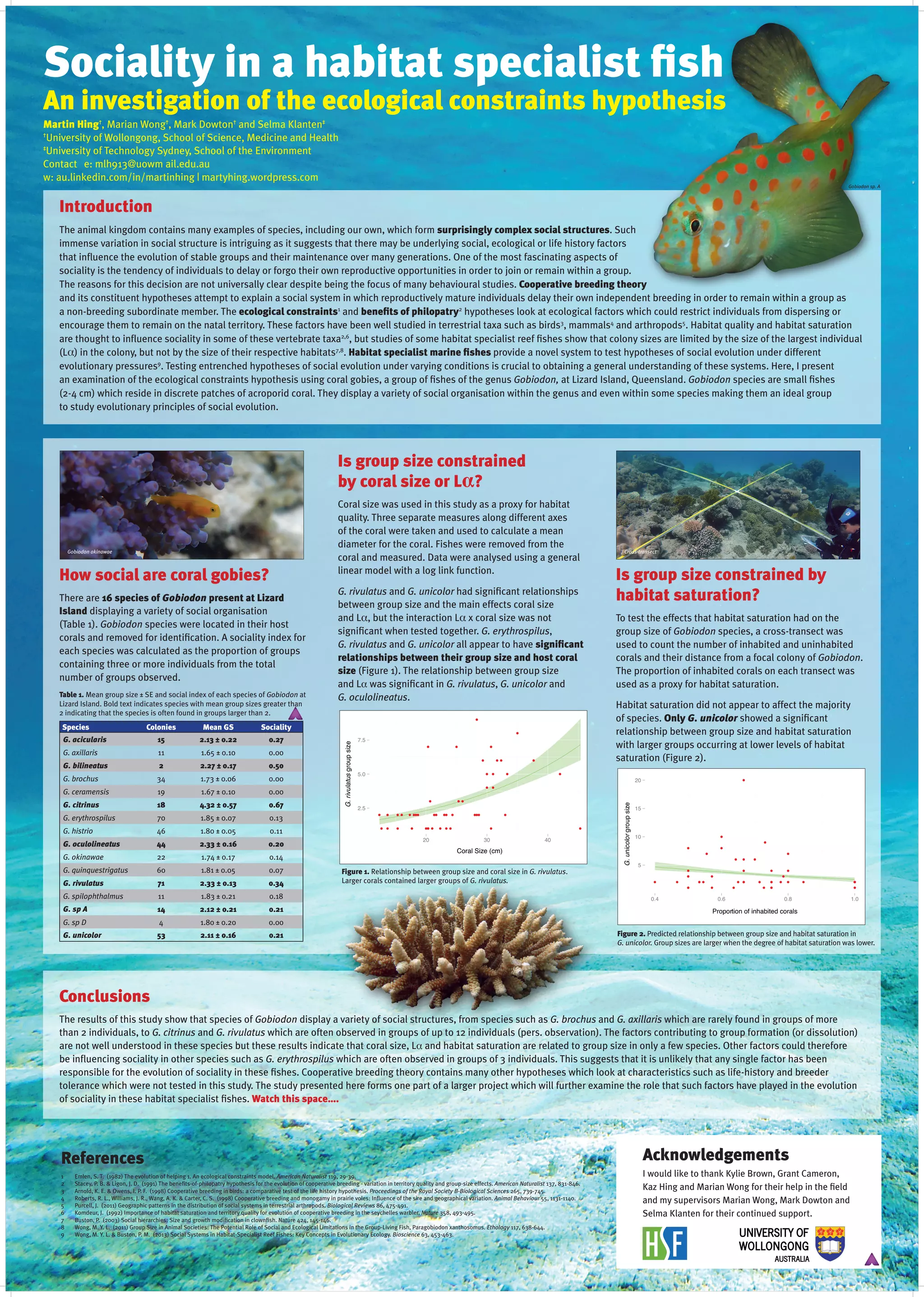 MHing fish poster | PDF