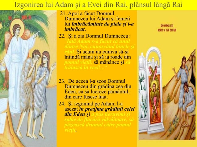 adam-si-eva-primii-oameni-pptx.pptx
