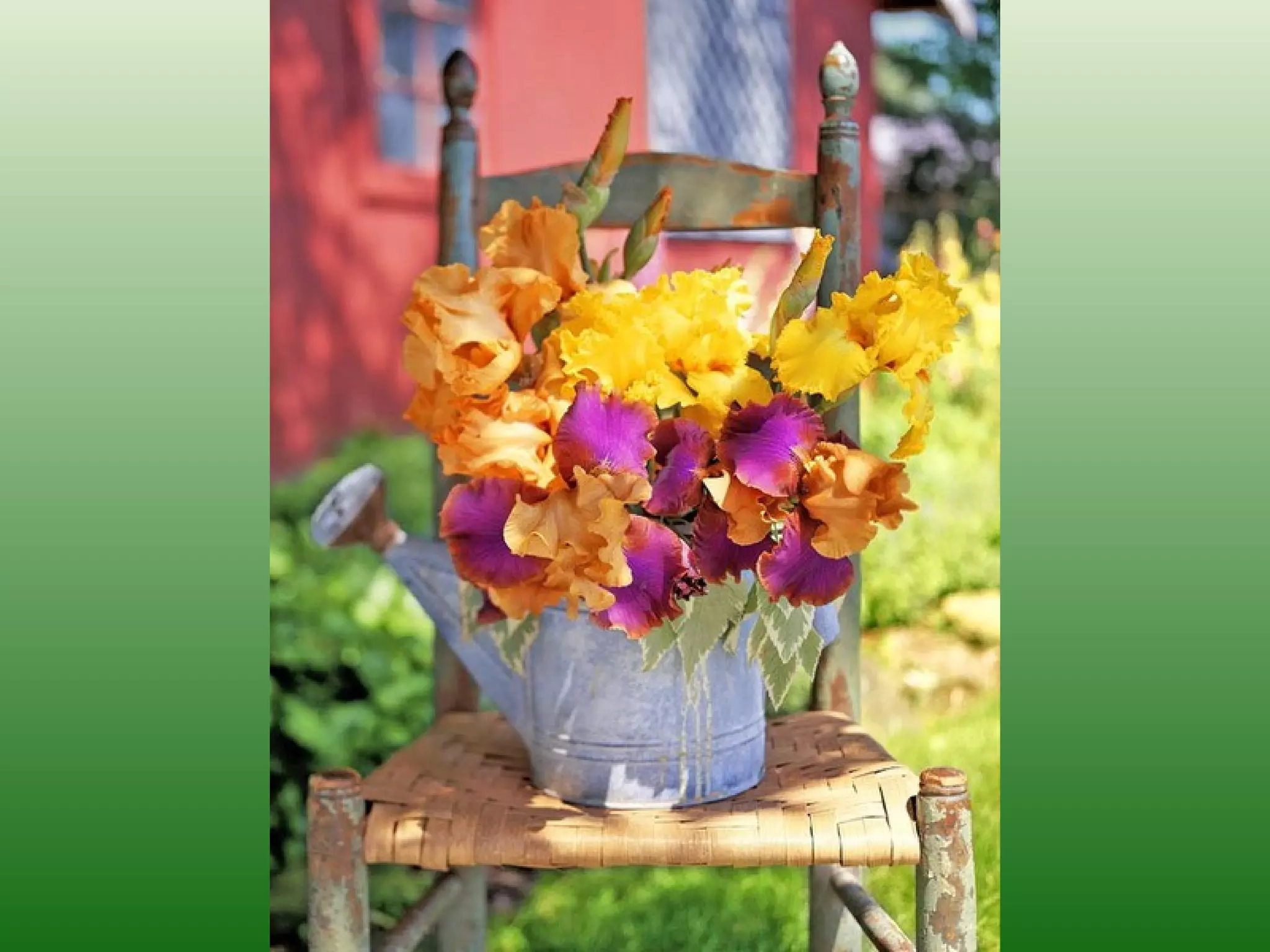 434 - vintage garden pots | PPT