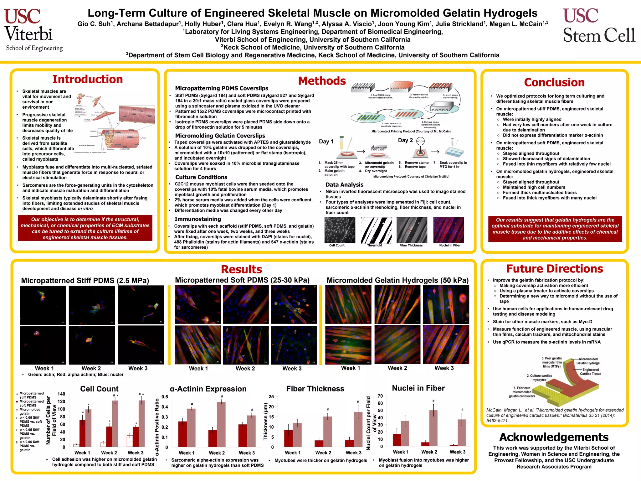 BMES Conference Poster | PPT