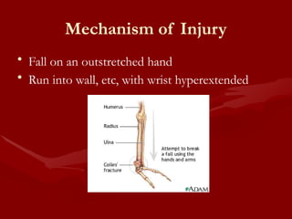 435119306-Anatomy-and-Injuries-to-the-Wrist-and-Hand.pptx
