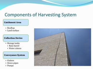 Doc 5 - Water Catchment System Presentation Edited by Karen | PDF