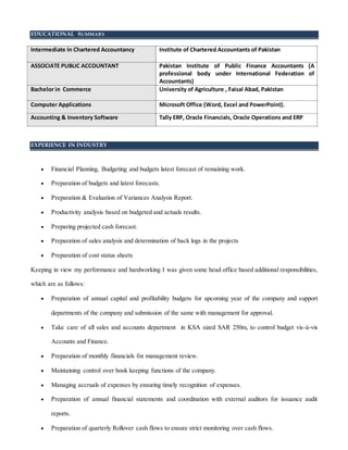 Adeel CV | DOCX