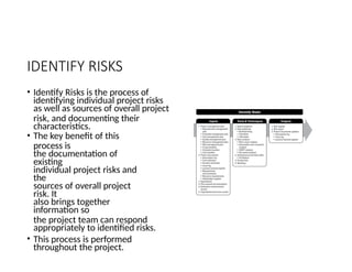 4554447637498498-Project-Risk-Management.pptx