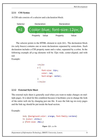 435752048-web-development-report.pdf