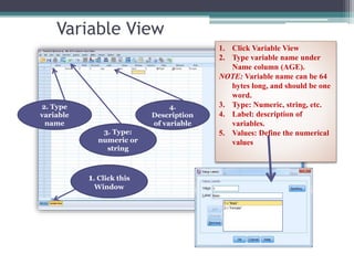 INTRODUCTION TO SPSS by Tukwatanise Raymond | PPT