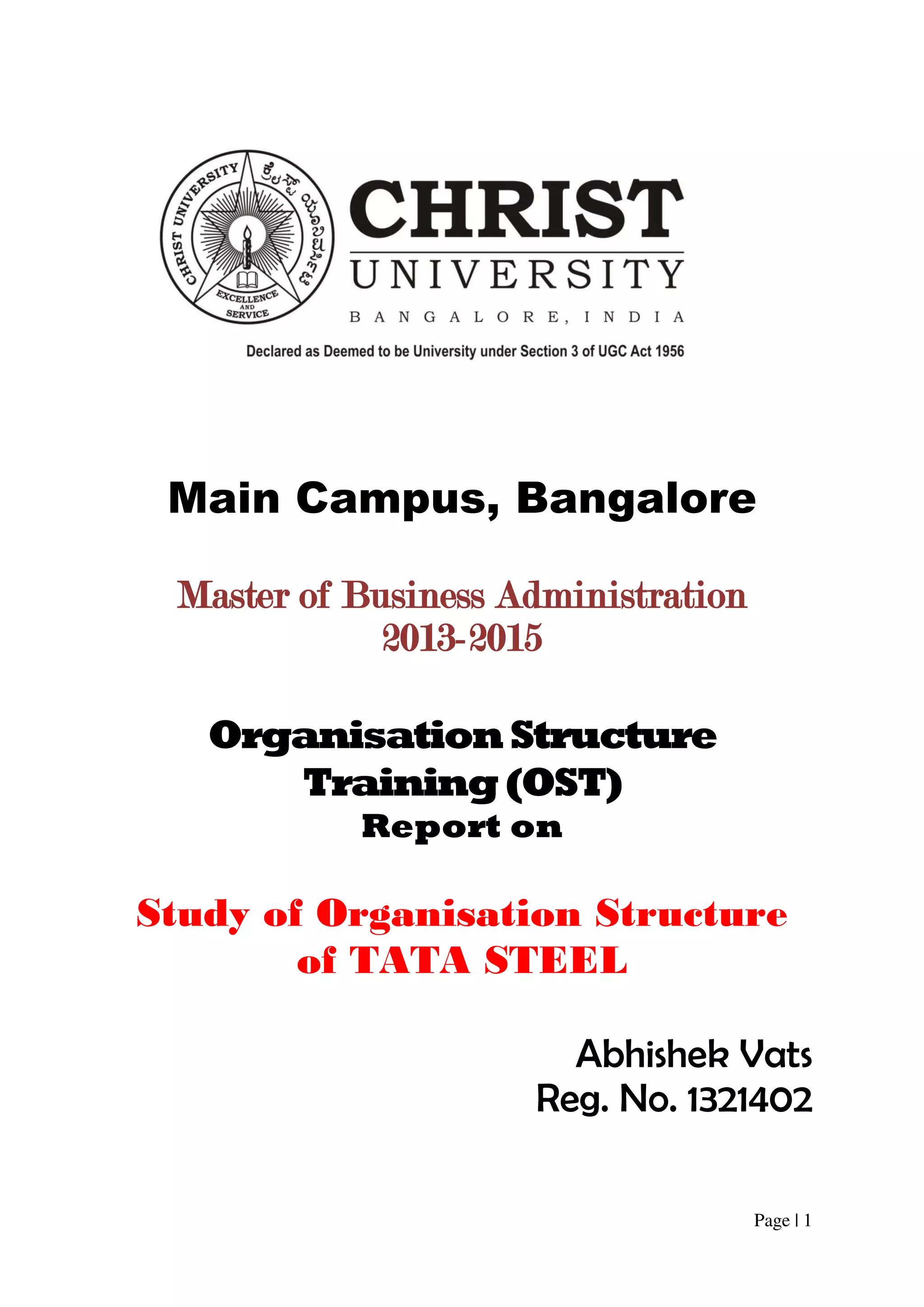 Tata Steel Organisation Structure Project | PDF