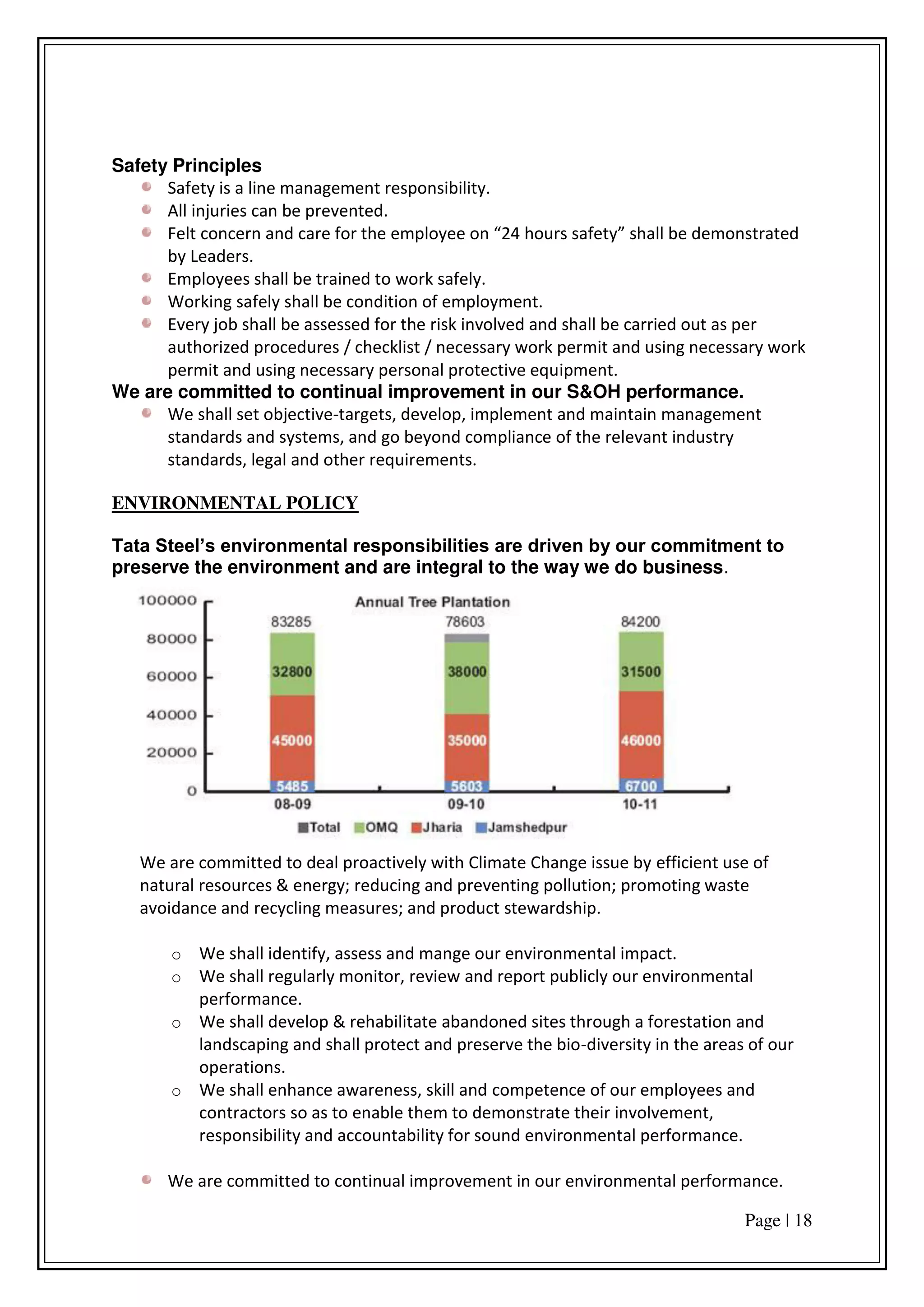 Tata Steel Organisation Structure Project | PDF