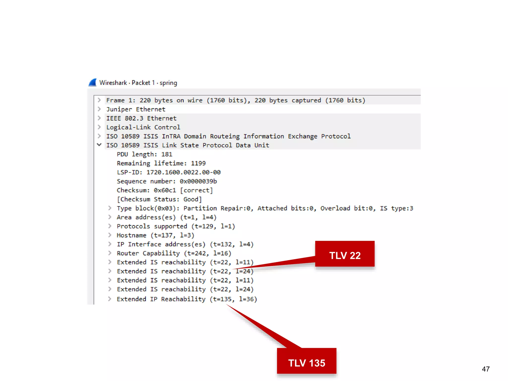 MENOG-Segment Routing Introduction | PPTX